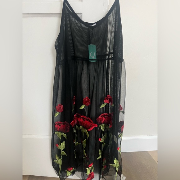 Dresses | See Through Rose Appliqu Size Large Dress | Poshmark